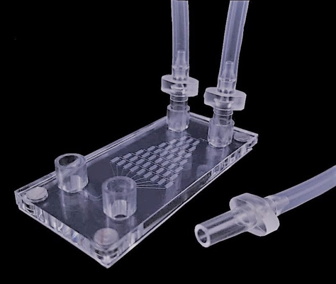 Integrated Chips – MesoBioTech